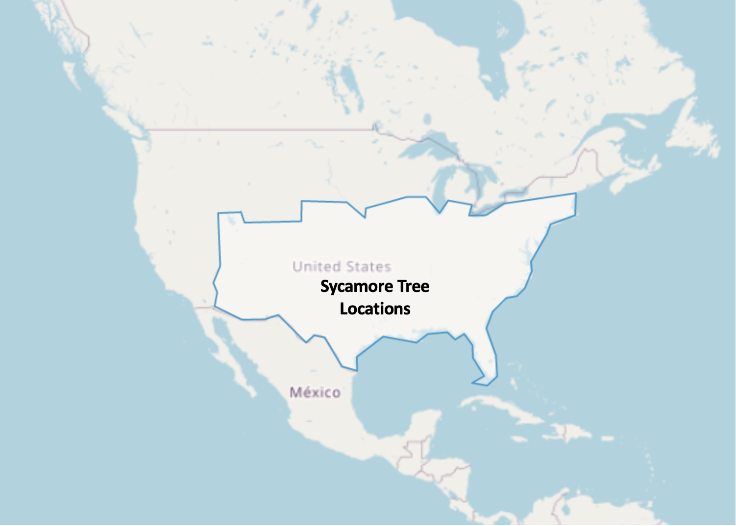 NASA Moon Trees - Sycamore - GLOBE Observer - GLOBE.gov