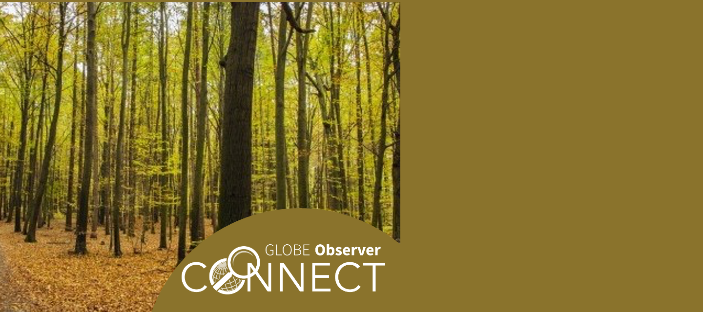 GLOBE Observer - GLOBE Observer - GLOBE.gov